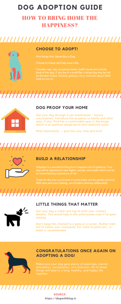 Dog Adoption Guide - What you need to know