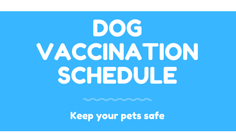 Dog Vaccination Schedule | Complete guide