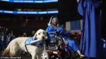 Service dog receives Diploma - inspiring Hero
