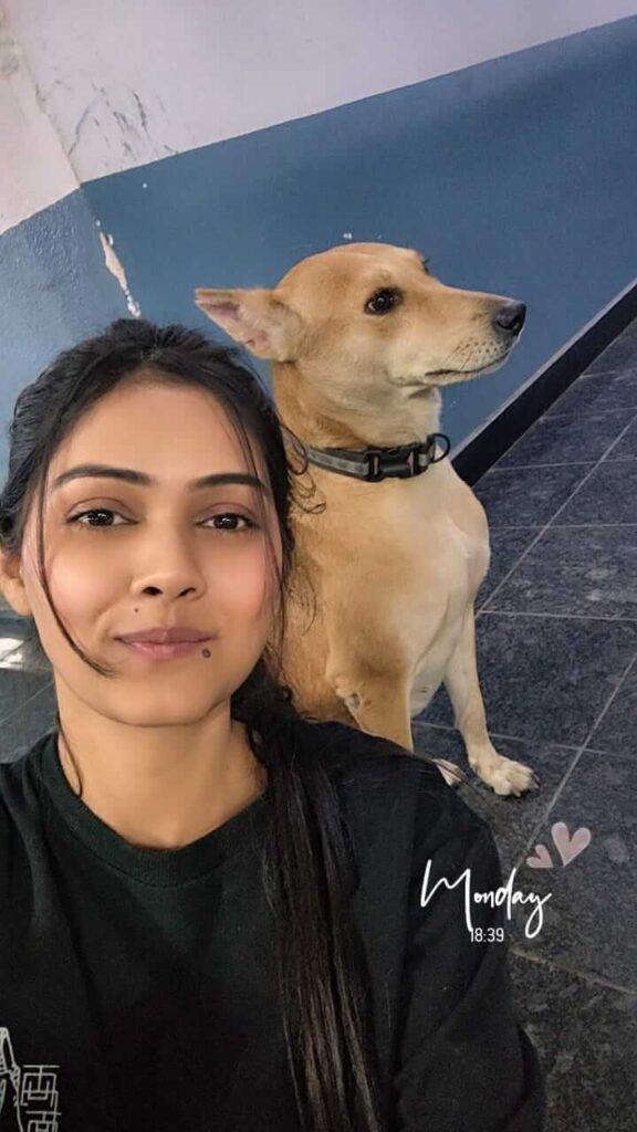 7 Reasons why Indian pariah dog makes a great pet!